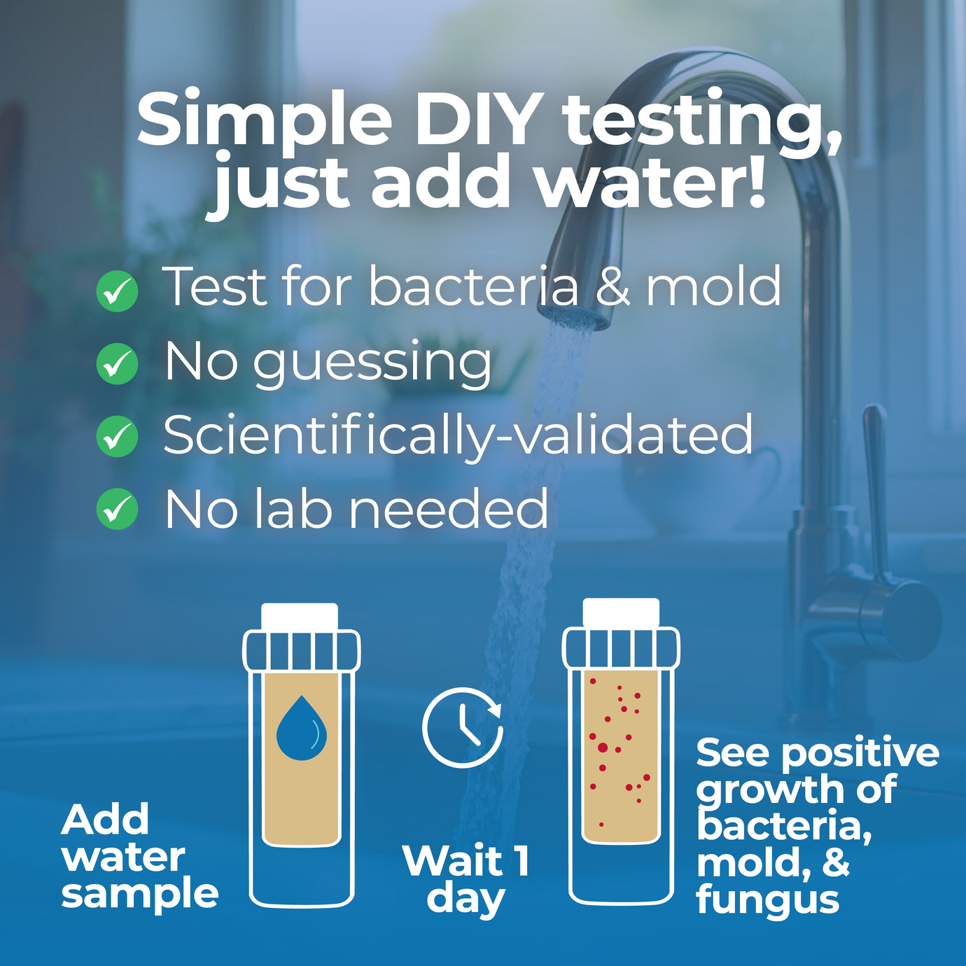 Water Bacteria Test Kit - E Coli & Coliform Test – Detekt Rapid Tests