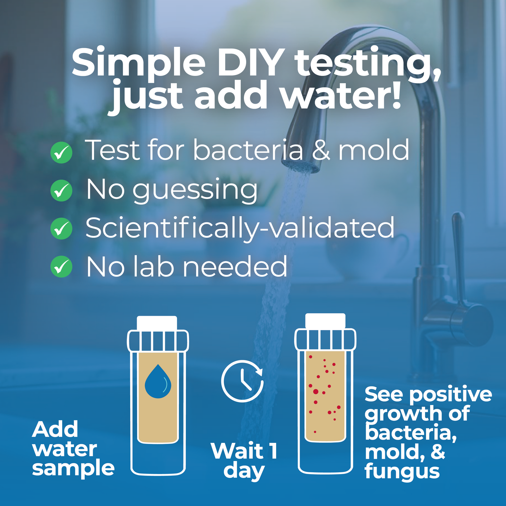 Water Bacteria Test Kit - E Coli & Coliform Test – Detekt Rapid Tests
