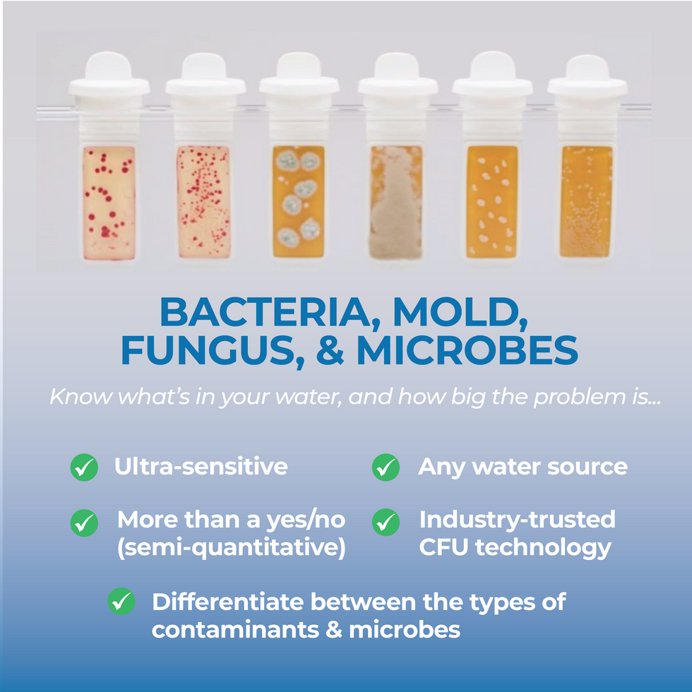 Water Bacteria Test Kit - E Coli & Coliform Test – Detekt Rapid Tests