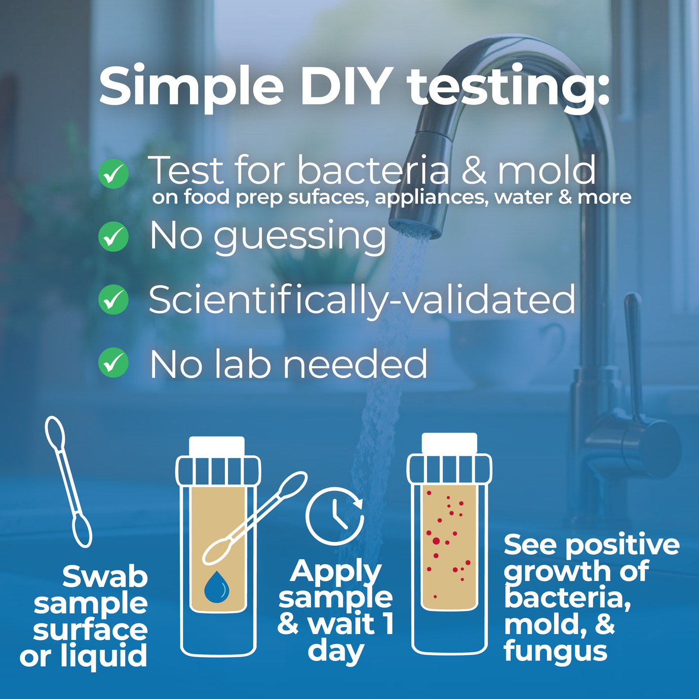 Surface Bacteria Test Kit Home Use | Detekt Home – Detekt Rapid Tests