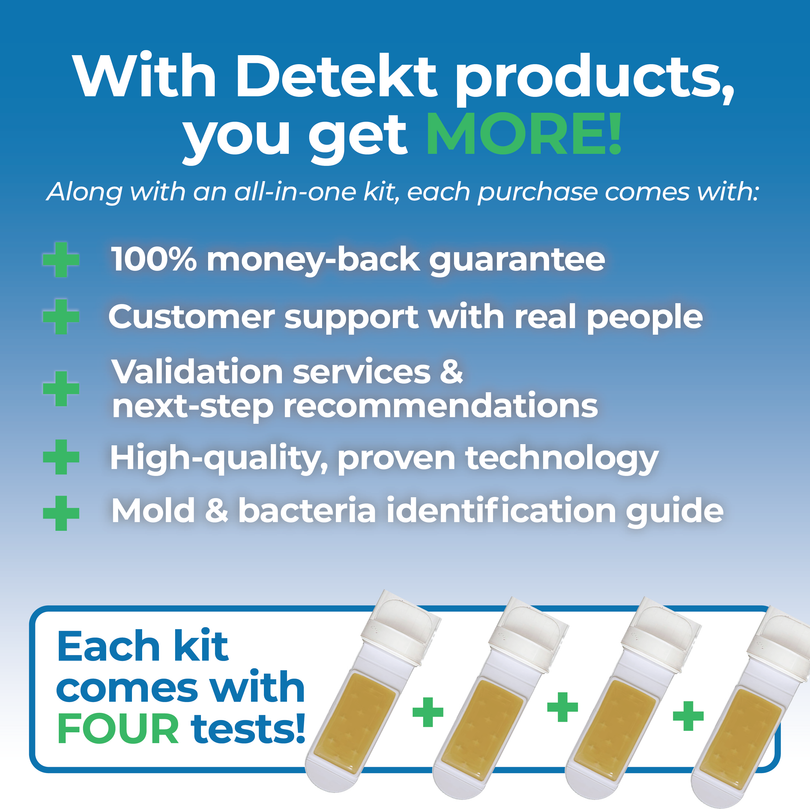Surface Germ Killing Kit Test